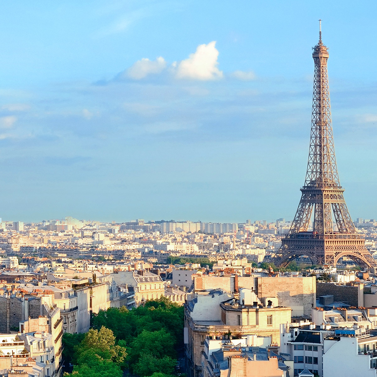 Prestations - Optima Construction